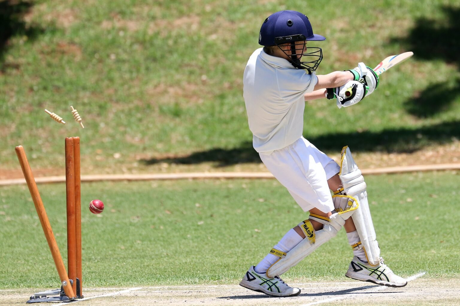 Home - Para Districts Cricket Association